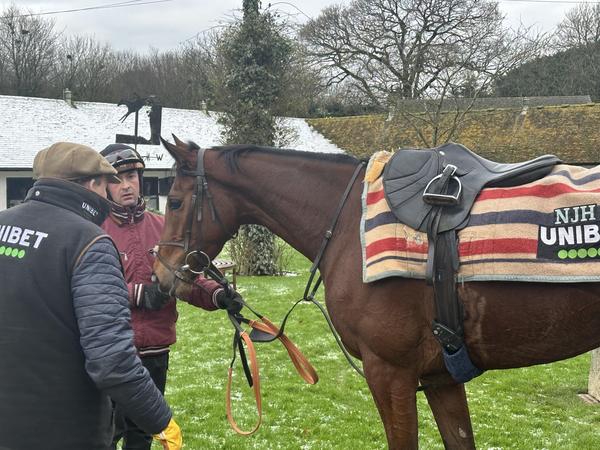 Lulamba gamble > Betfair Community > Cheltenham Festival